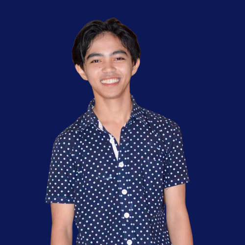 The Developer - Ric Charles Dev