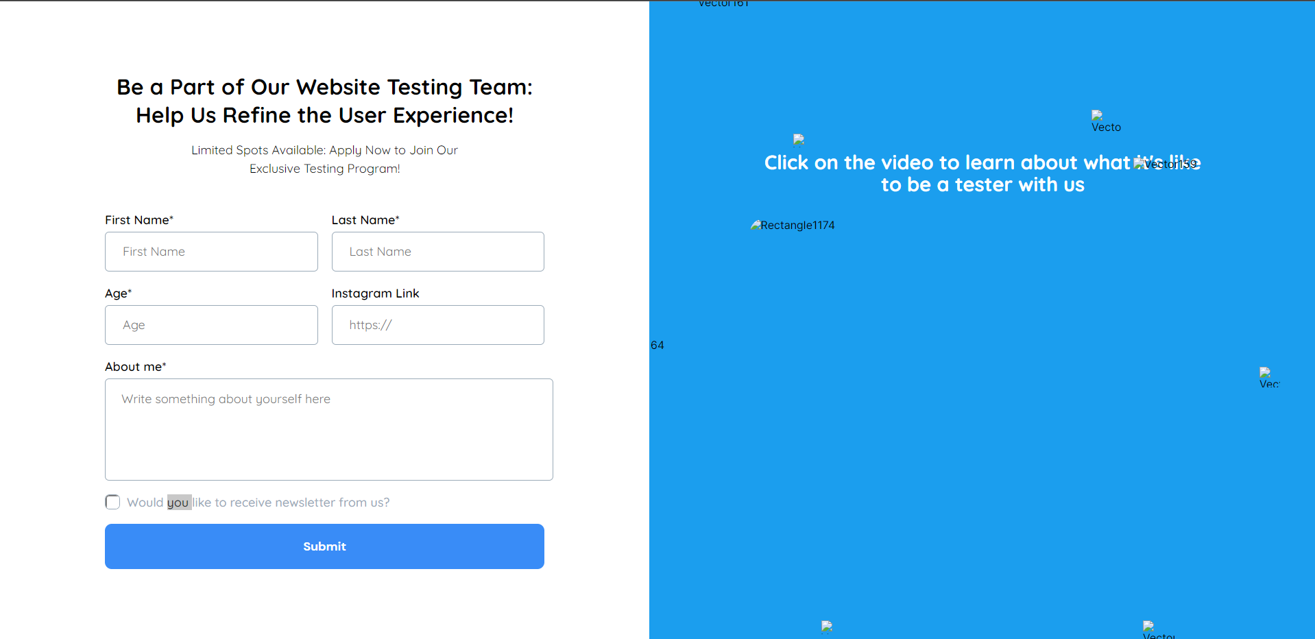 The Developer - Ric Charles Dev