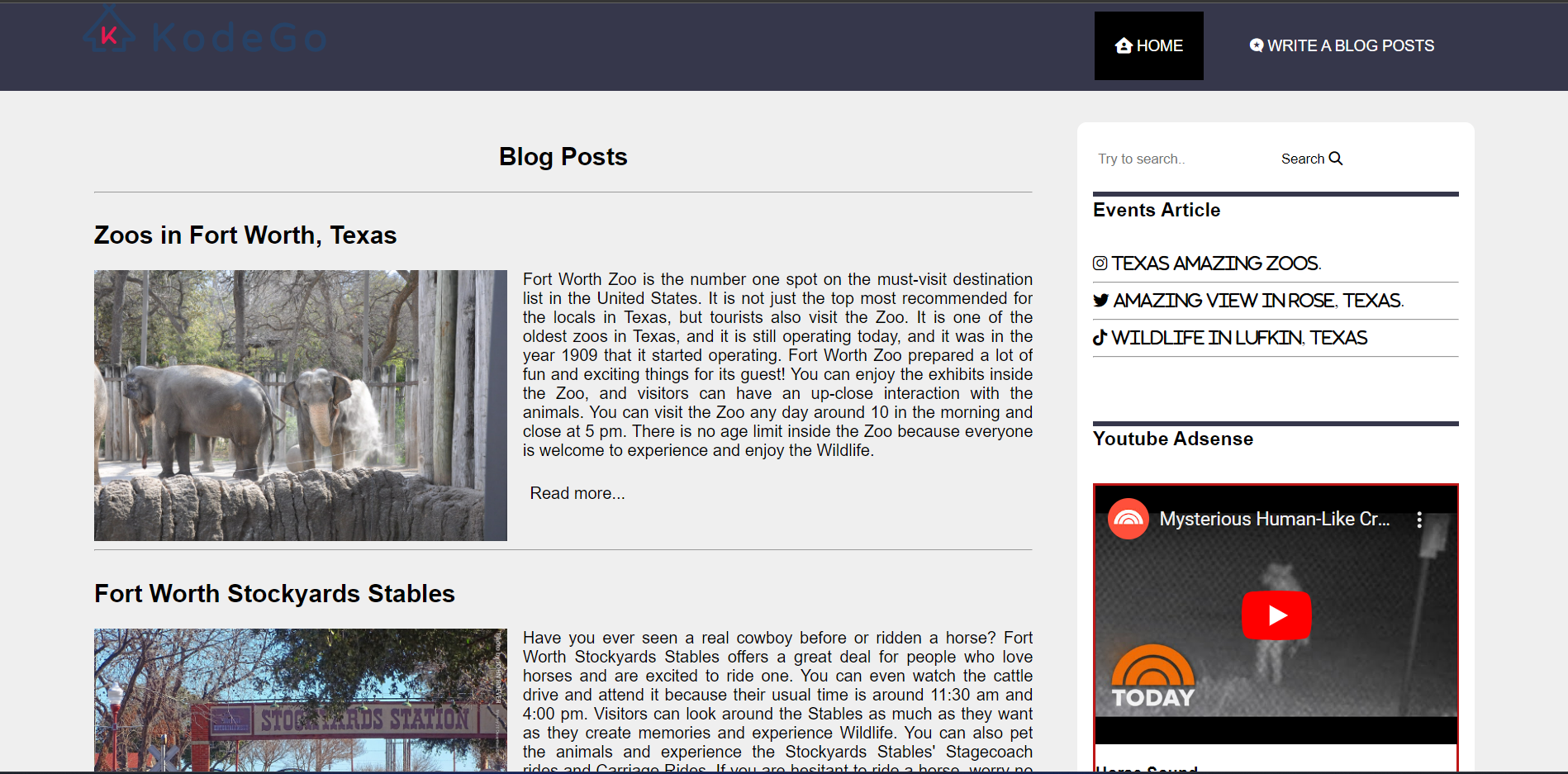 The Developer - Ric Charles Dev